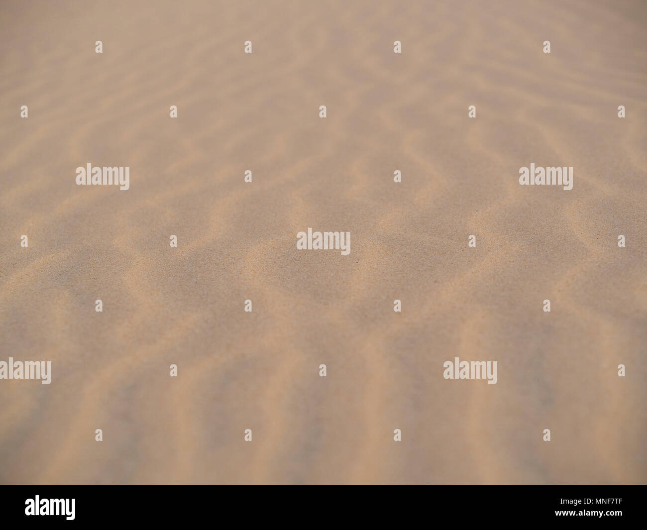 Beautiful Sand Texture Close up. Beach Background Space for Summer ...