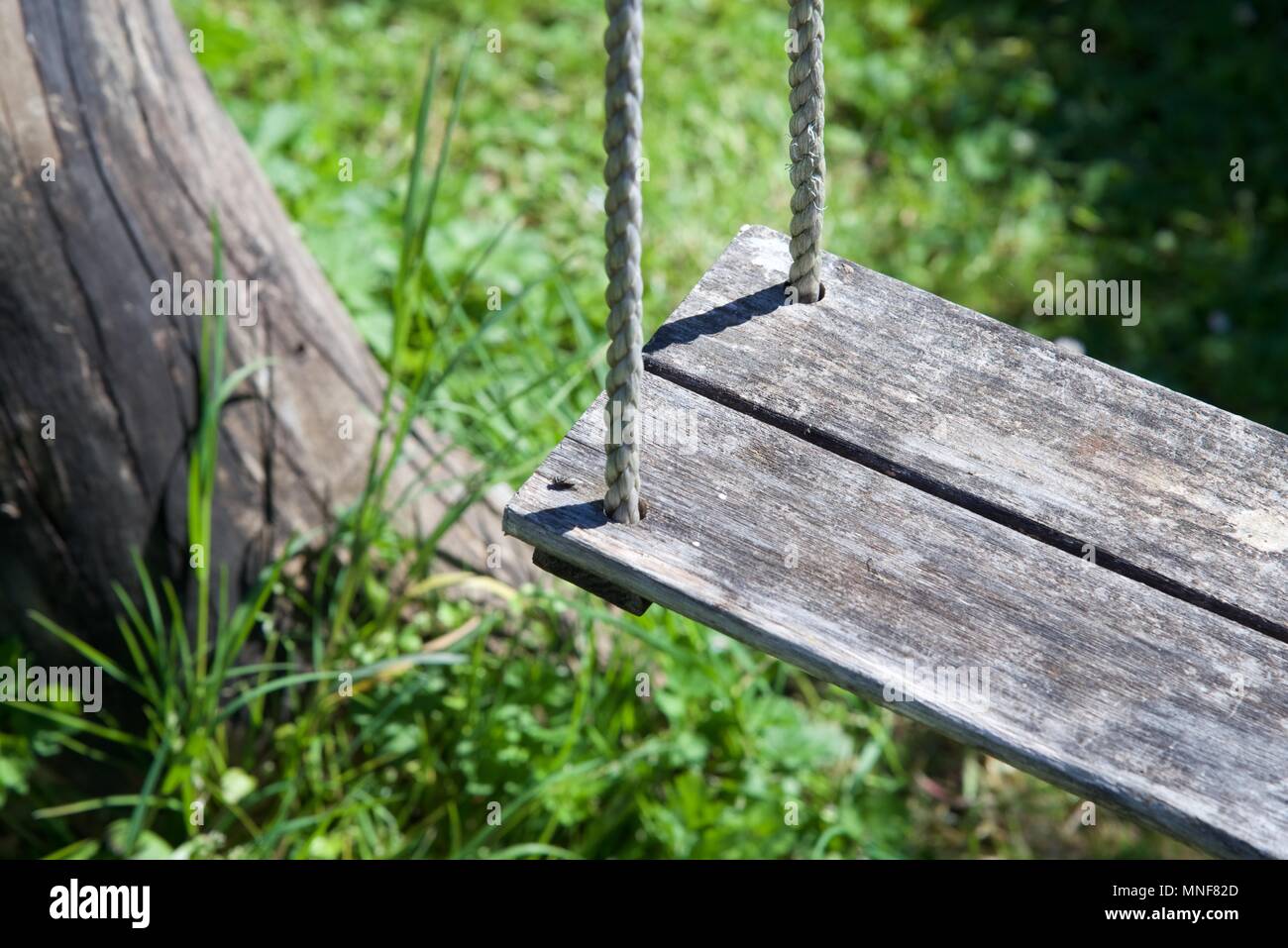 Garden swing: an unused child's swing hangs still in the sunshine Stock ...