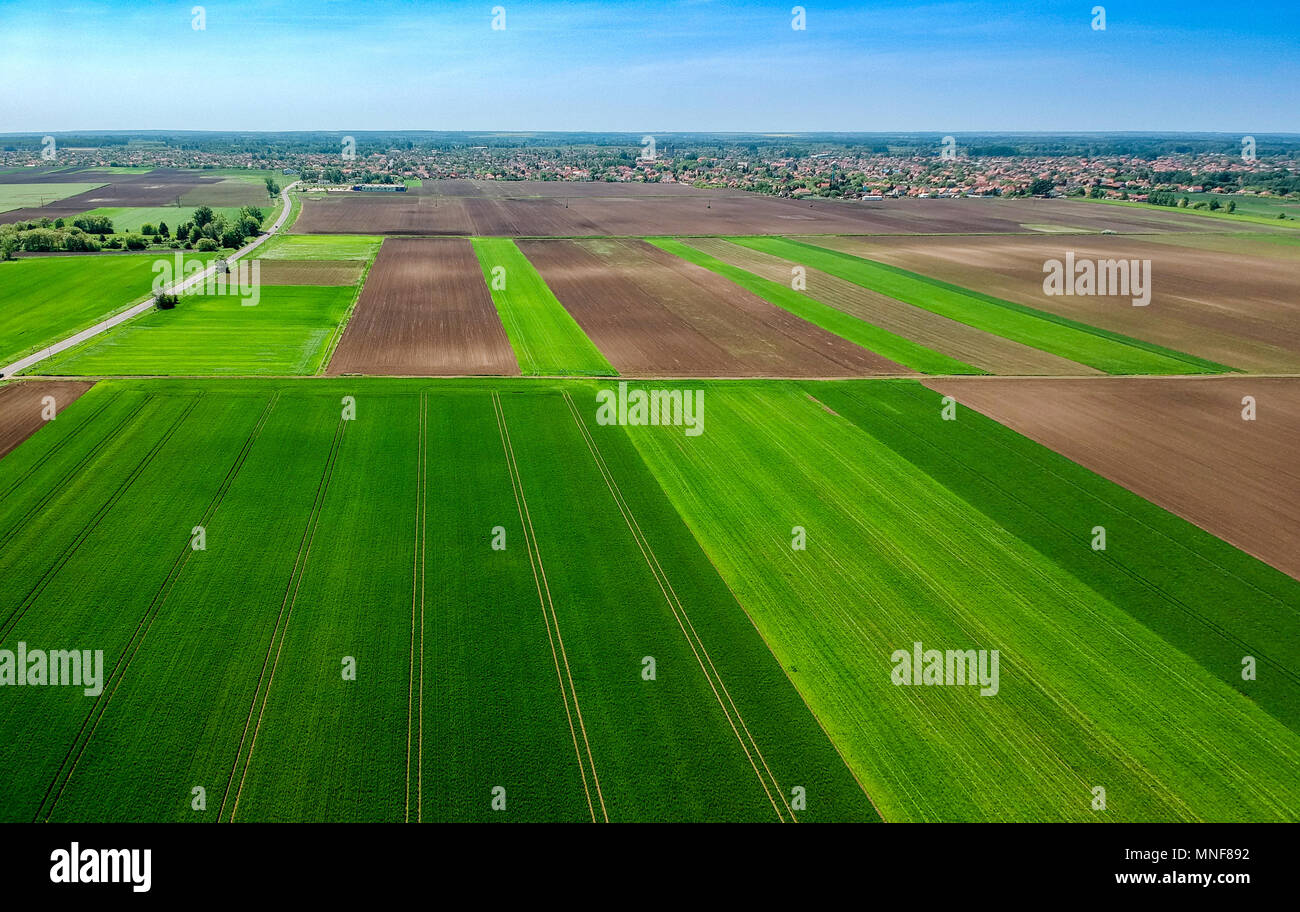 Aerial view of agricultural fields from above Stock Photo - Alamy
