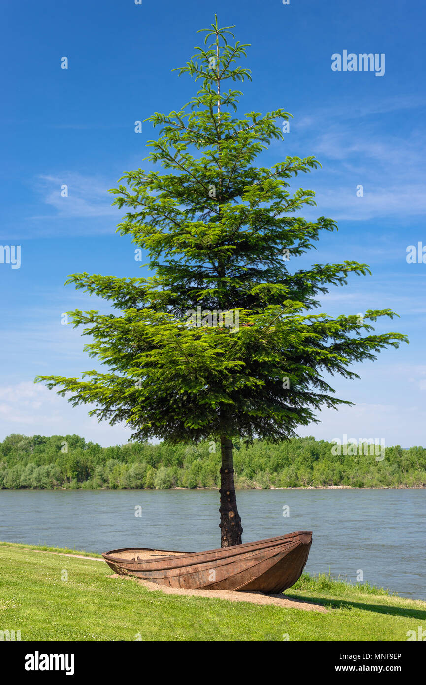 A tree growing out of an old rusty boat. In the background a flowing ...