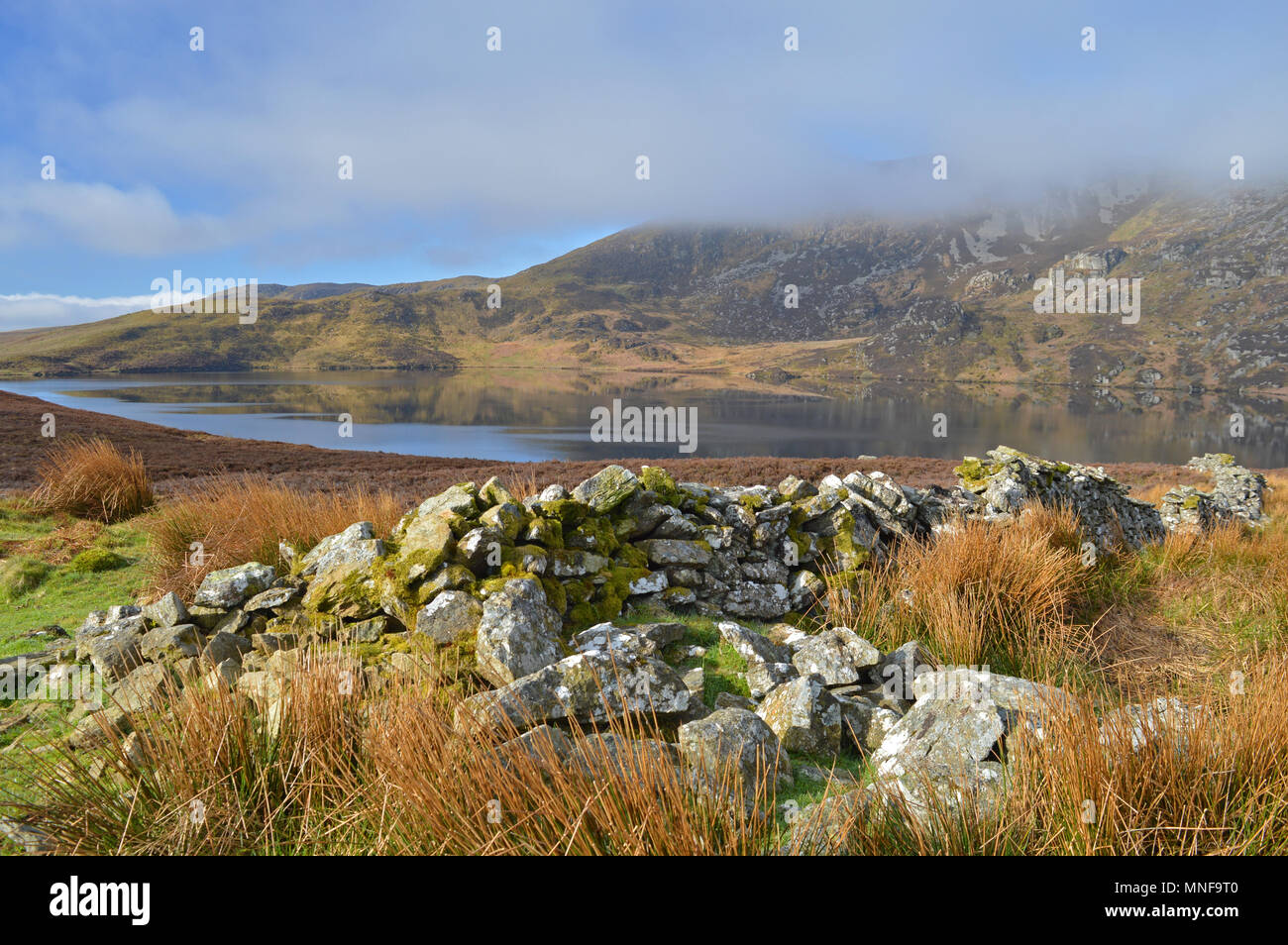Arenig Fawr walk, Bala Stock Photo - Alamy