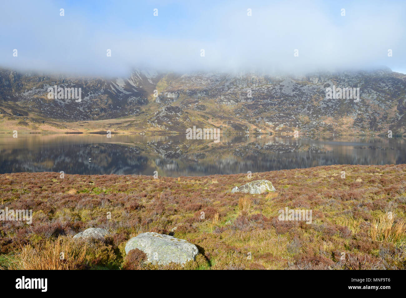 Arenig Fawr walk, Bala Stock Photo - Alamy