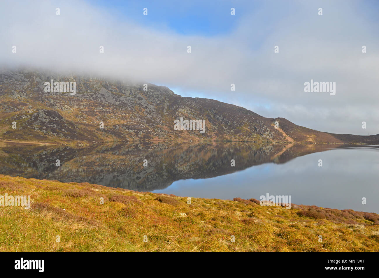 Arenig Fawr walk, Bala Stock Photo - Alamy