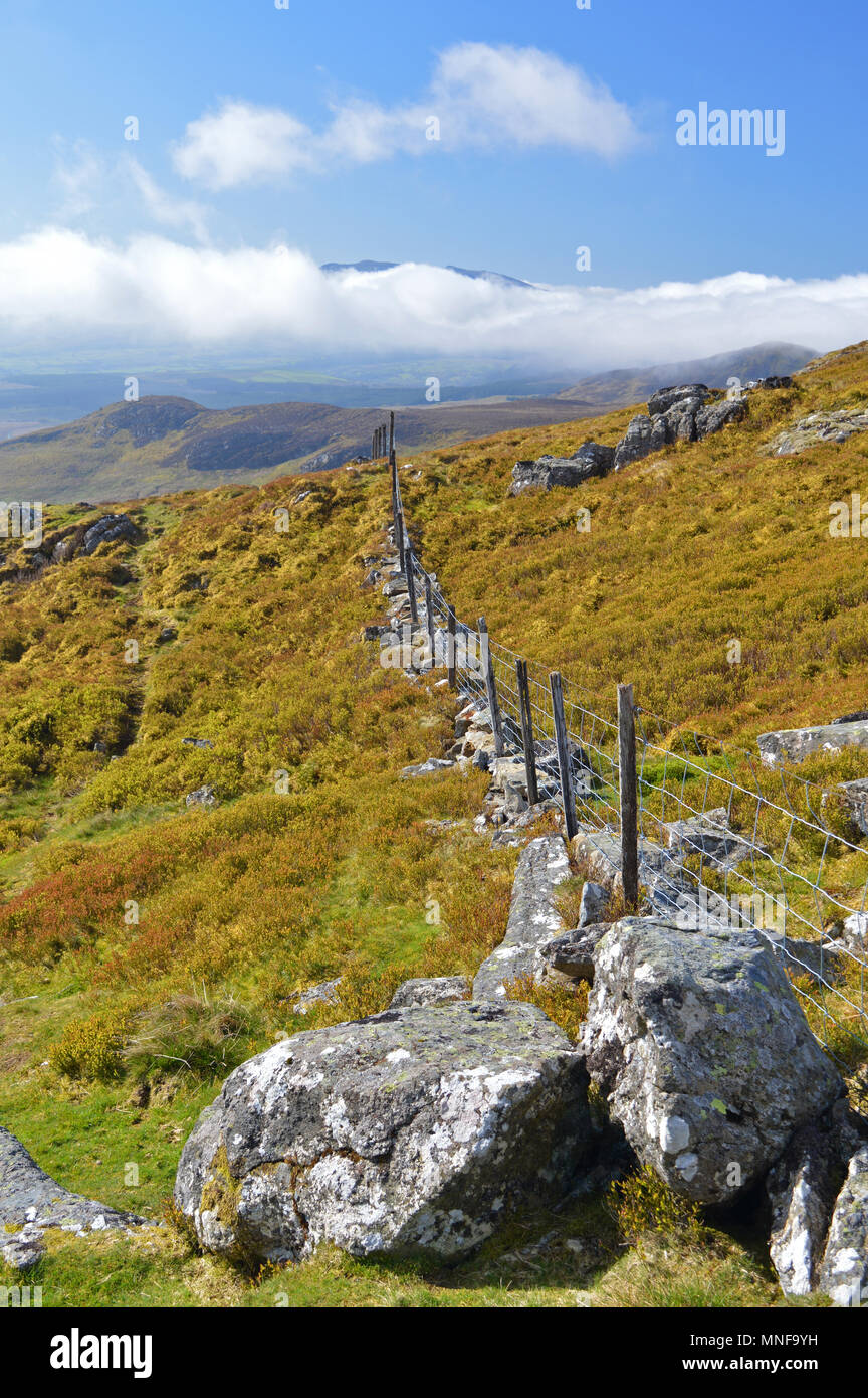 Arenig Fawr Stock Photos & Arenig Fawr Stock Images - Alamy