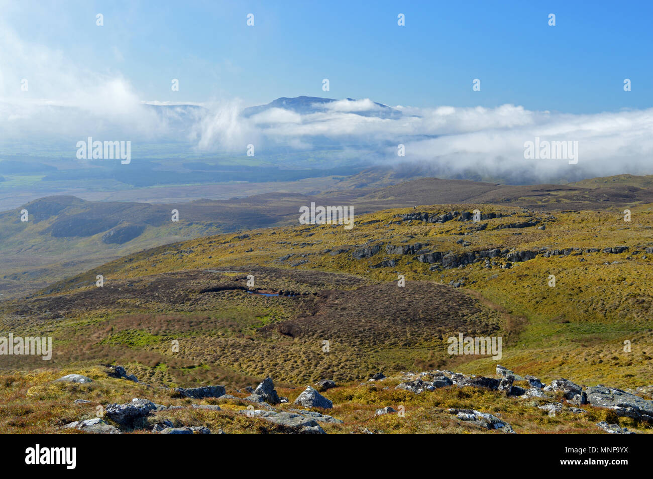 Llyn arenig fawr hi-res stock photography and images - Alamy