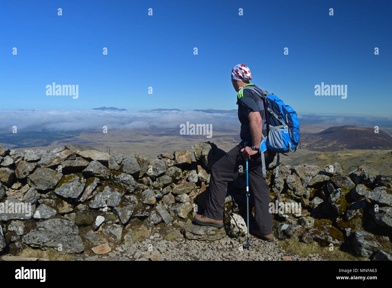 Hiker on Arenig Fawr walk, Bala Stock Photo - Alamy