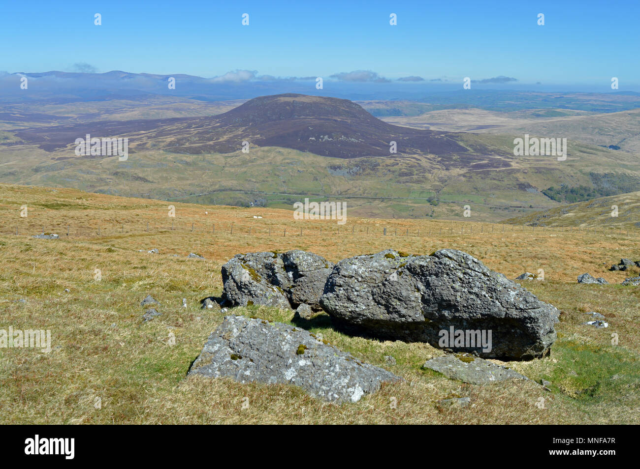 Arenig fach hi-res stock photography and images - Alamy