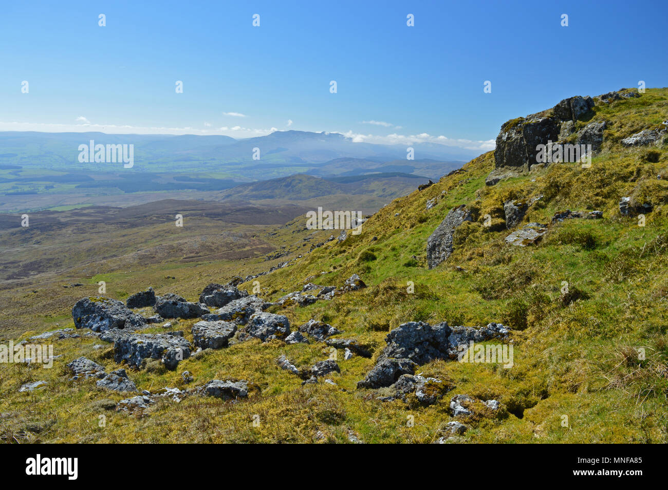 Arenig Fawr walk, Bala Stock Photo - Alamy
