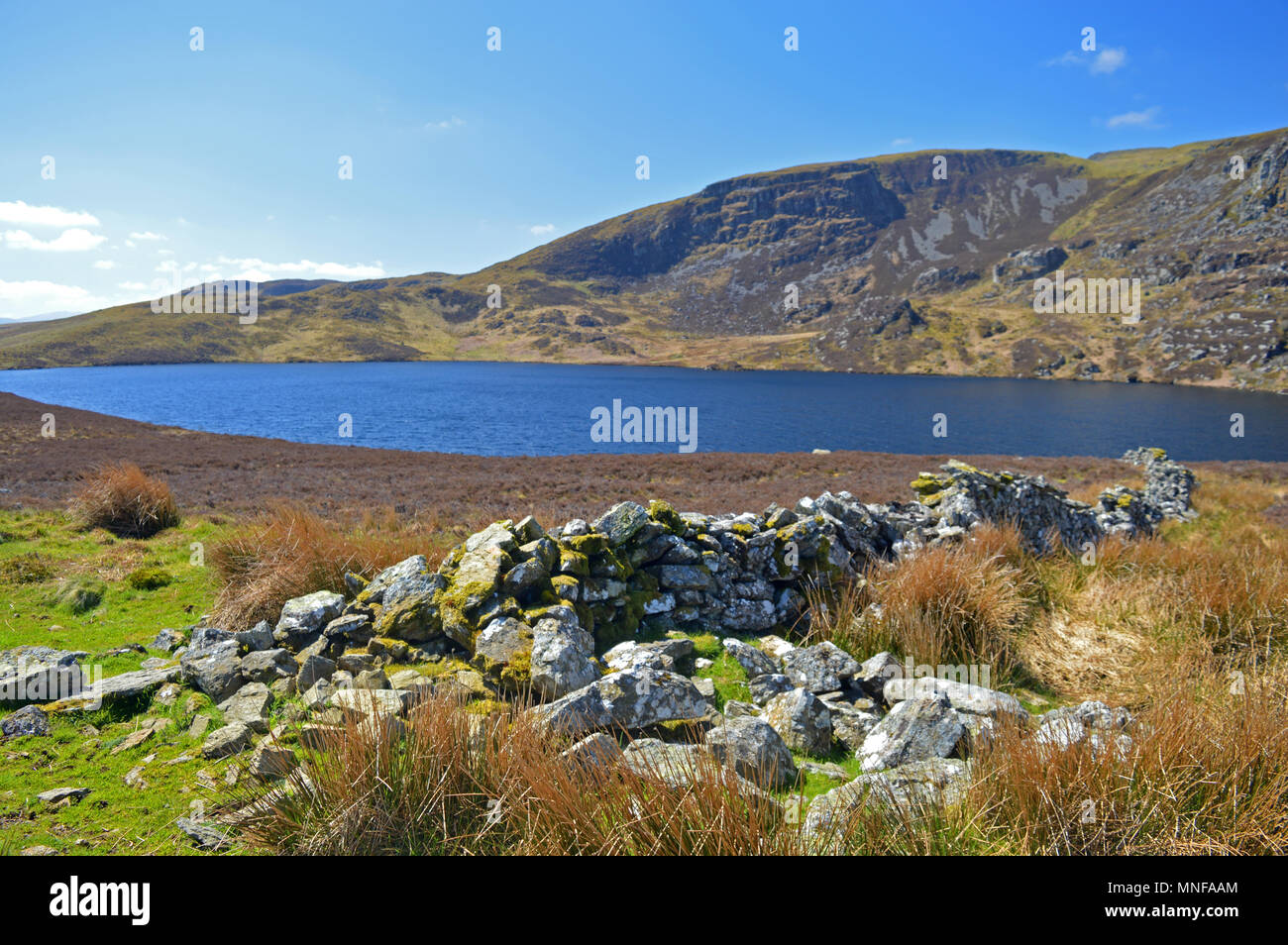 Arenig Fawr walk, Bala Stock Photo - Alamy