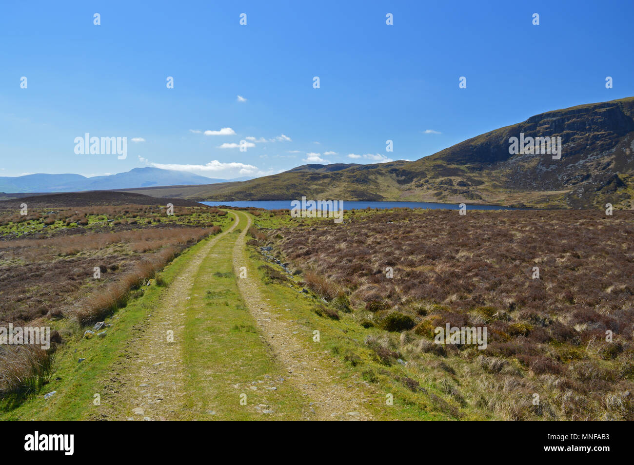 Arenig Fawr walk, Bala Stock Photo - Alamy