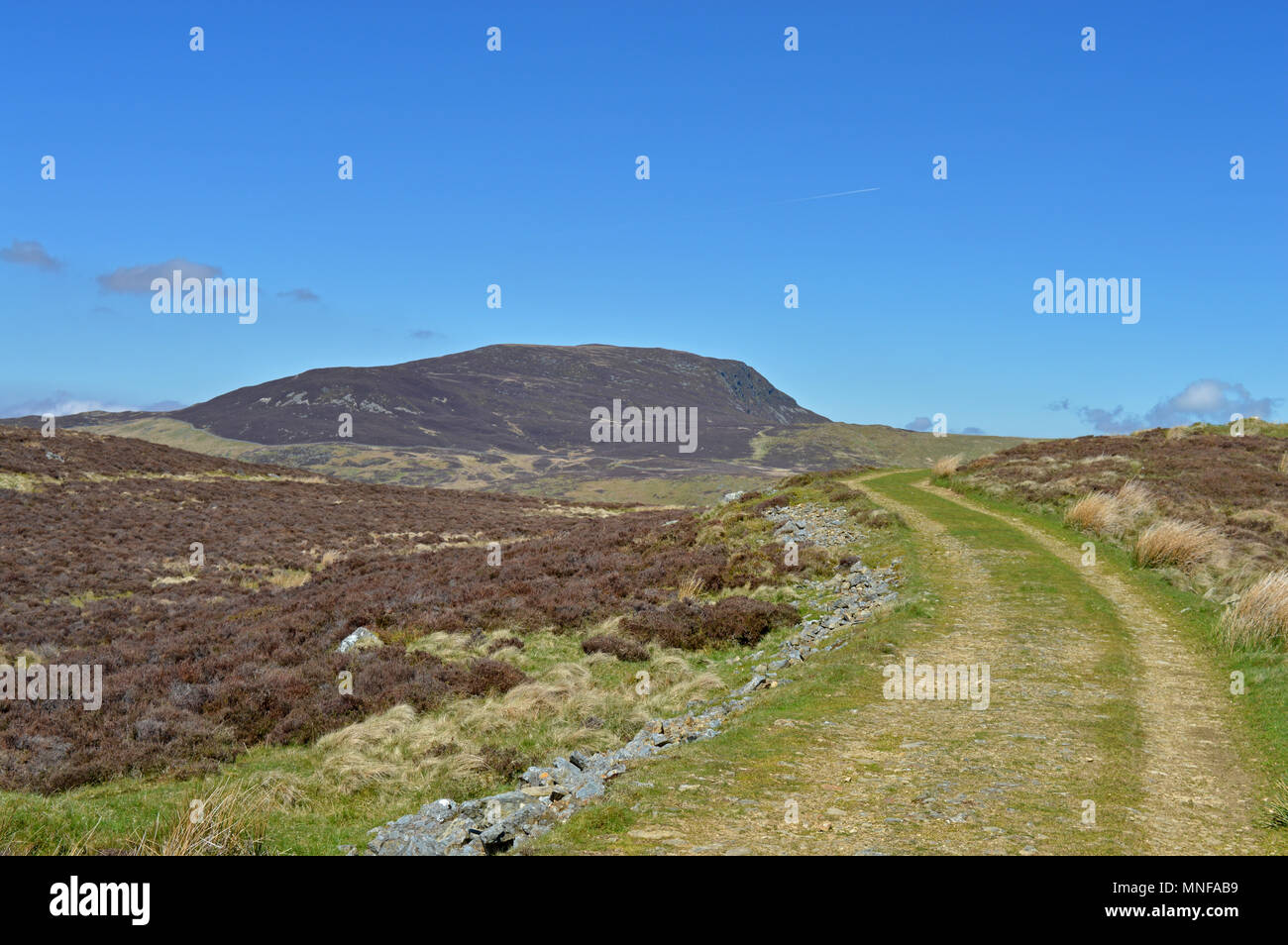 Arenig Fach from Arenig Fawr walk, Bala Stock Photo - Alamy