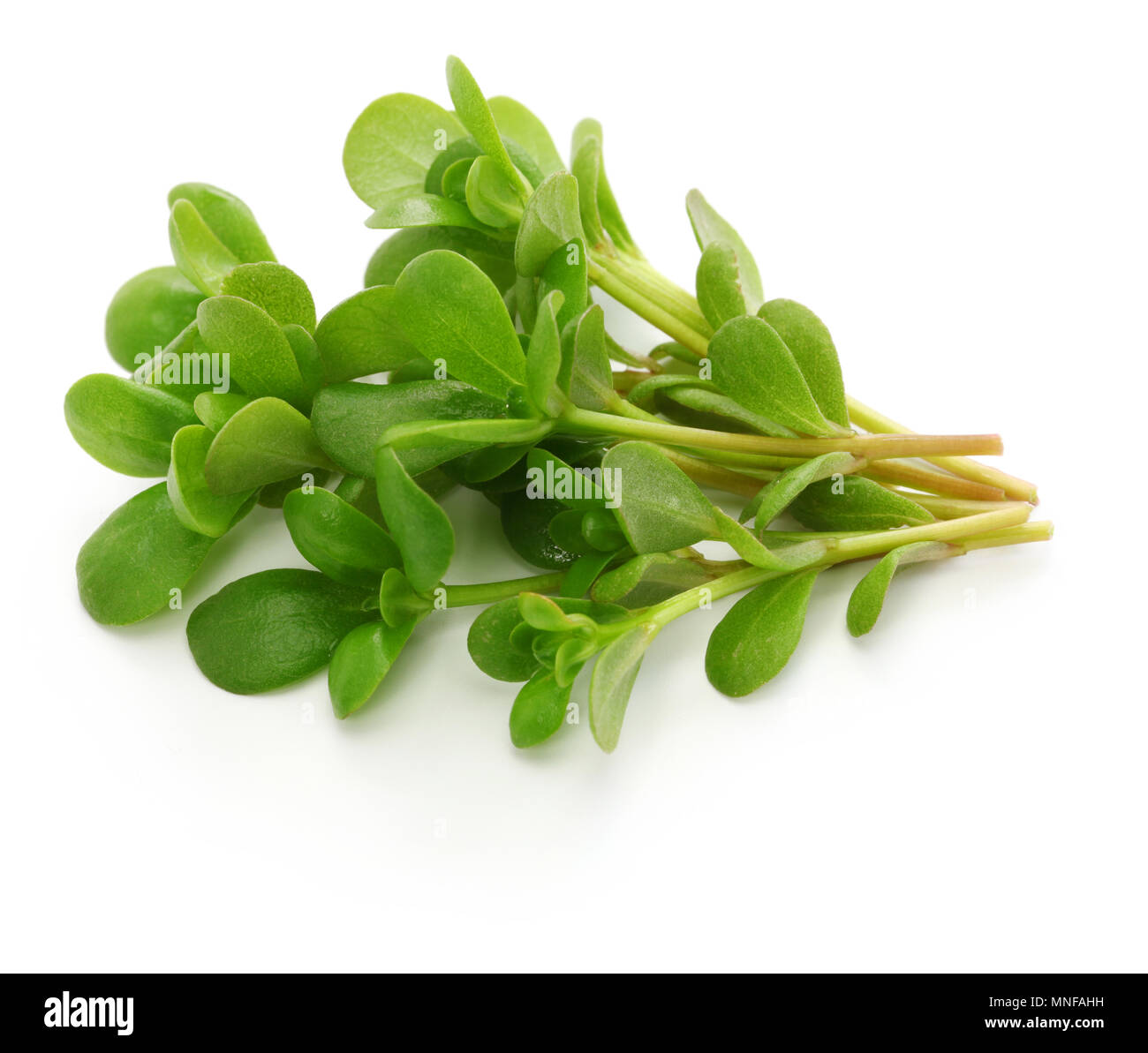 Edible weeds hi-res stock photography and images - Alamy