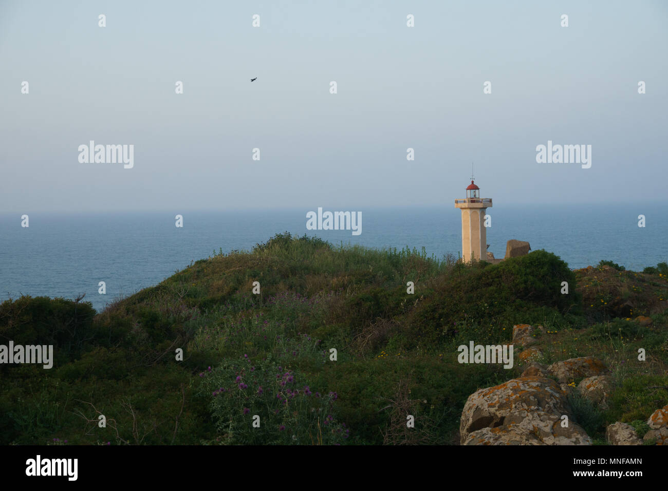 landscapes algeria dellys Stock Photo - Alamy