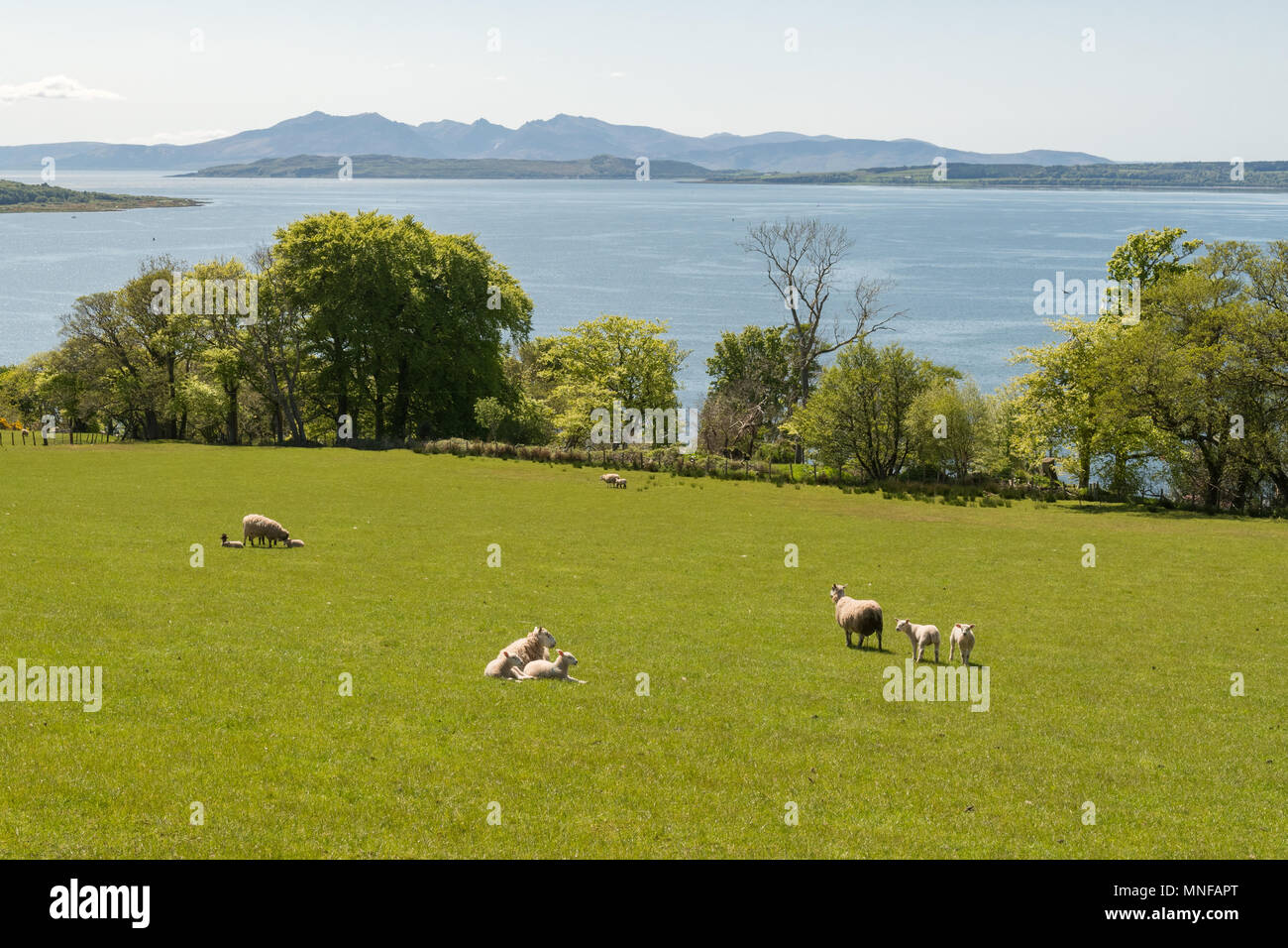 View of arran from scottish mainland hi-res stock photography and ...