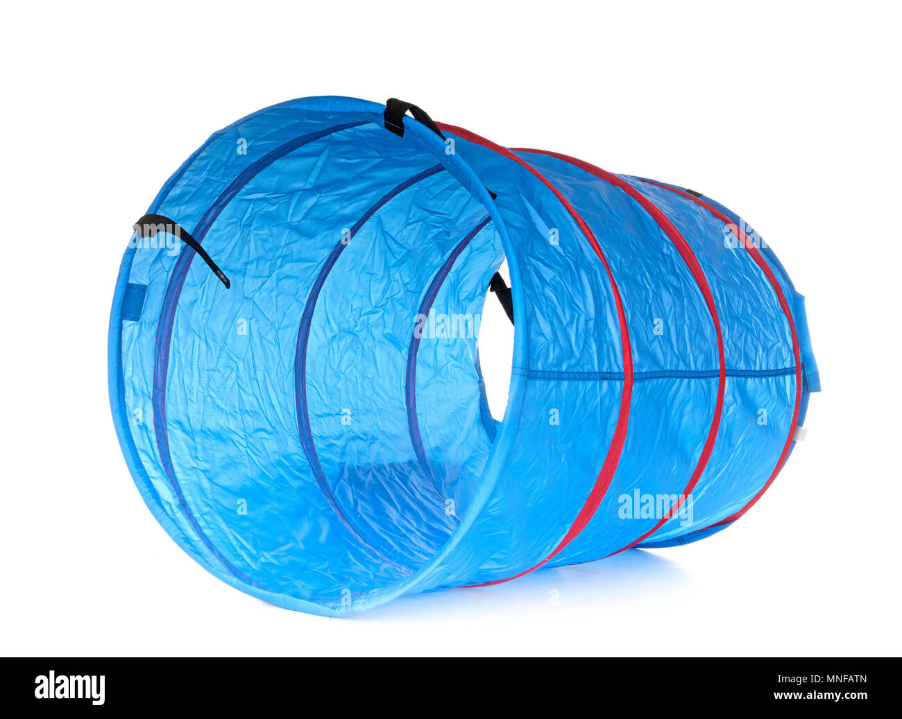 training of agility in front of white background Stock Photo - Alamy