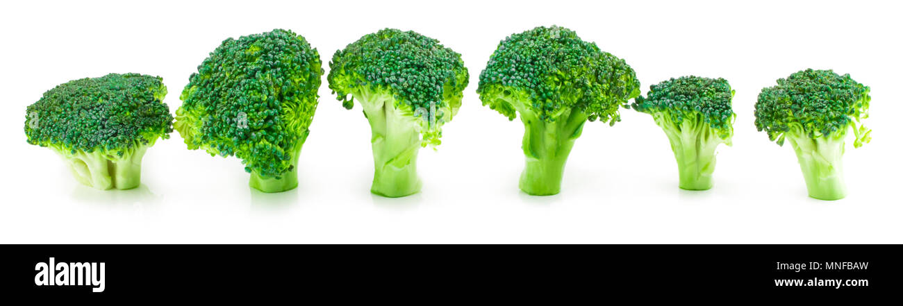 Broccoli vegetable isolated on white background.close-up Stock Photo ...