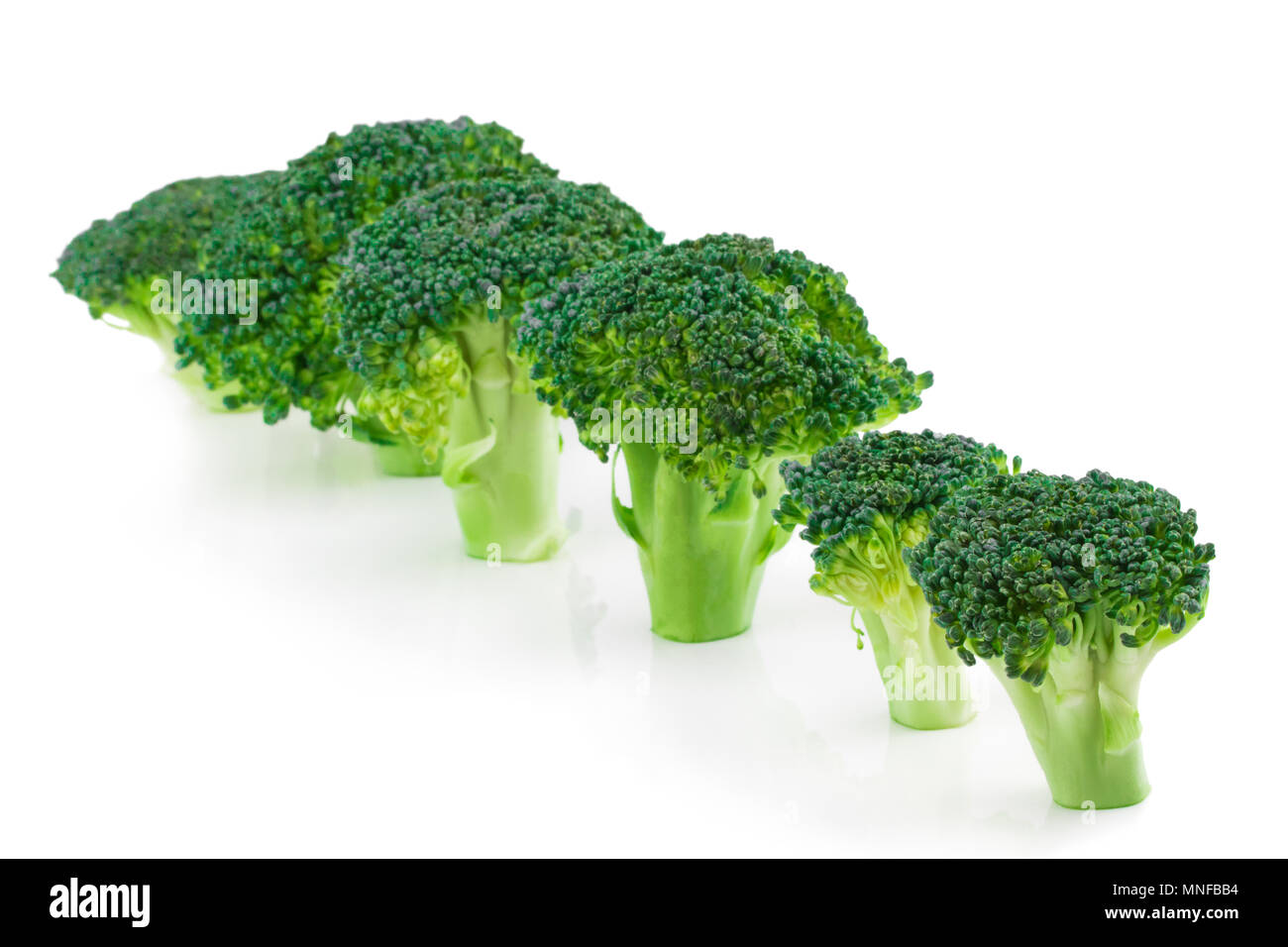 Broccoli vegetable isolated on white background.close-up Stock Photo ...