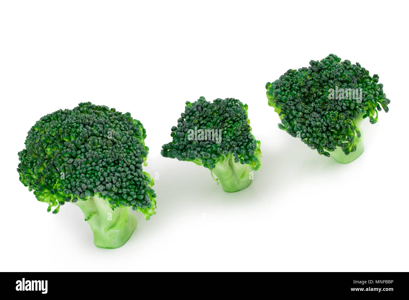 Broccoli vegetable isolated on white background.close-up Stock Photo ...