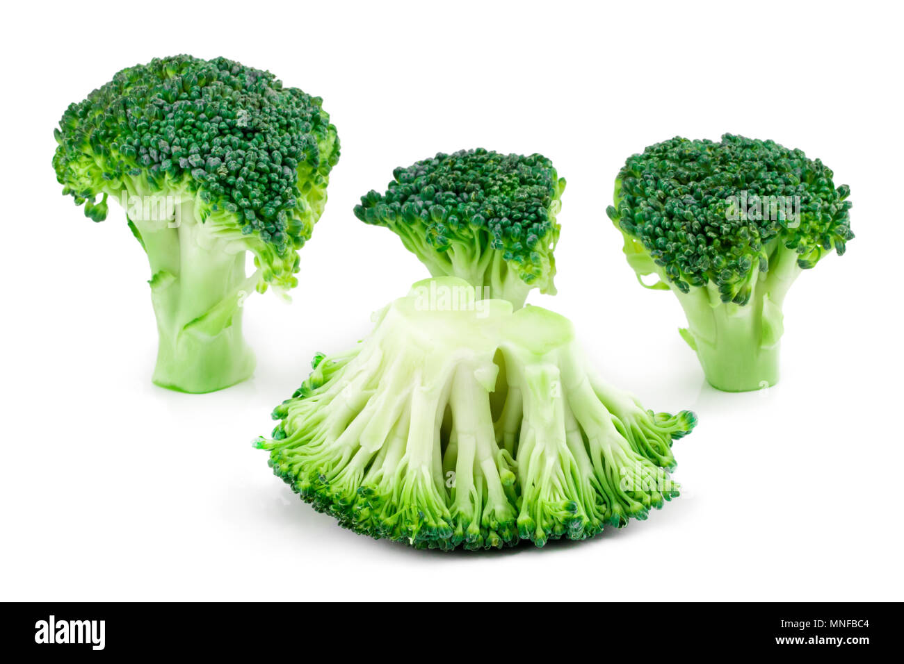 Broccoli vegetable isolated on white background.close-up Stock Photo ...