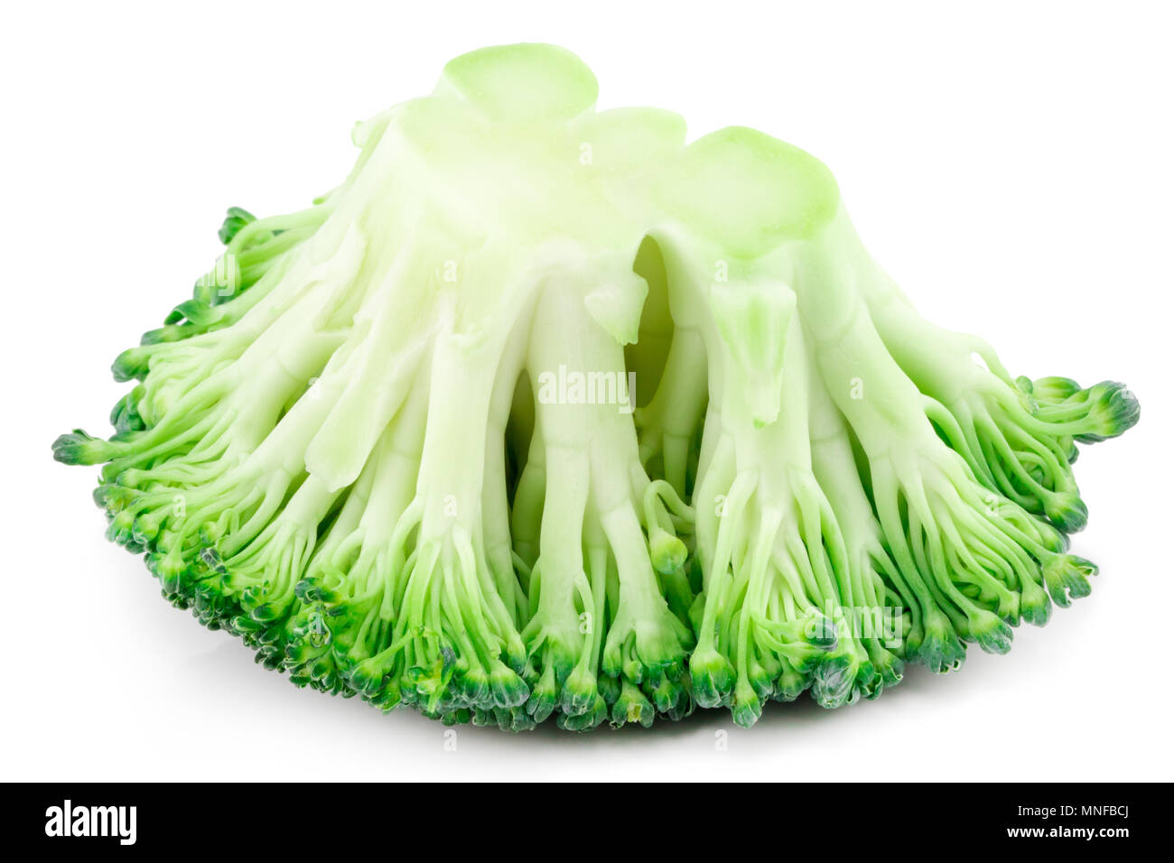 Broccoli vegetable isolated on white background.close-up Stock Photo ...
