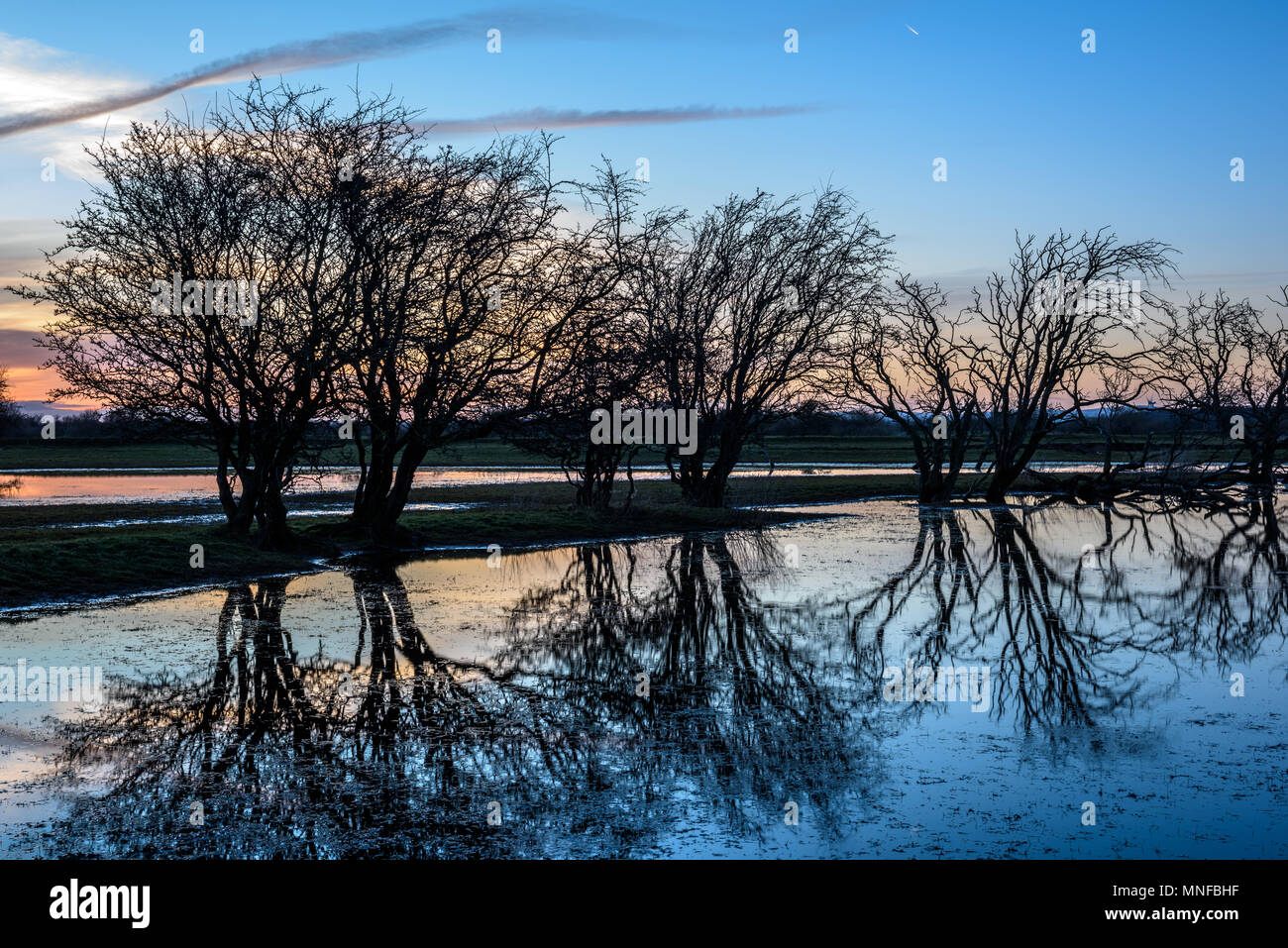 Spring sunset. Trees above the water. Cumbria. England Stock Photo - Alamy