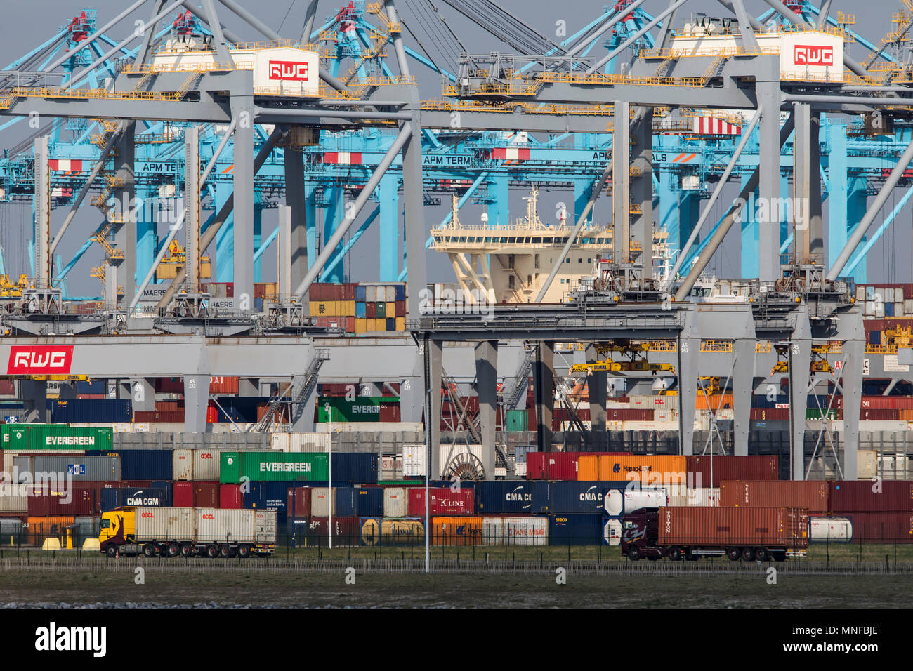 Rwg container terminals hi-res stock photography and images - Alamy