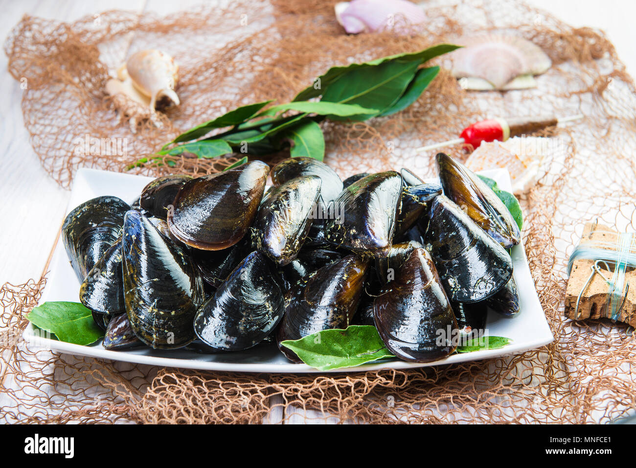 Fresh and alive mussels for cooking cleaned and ready to be steamed ...