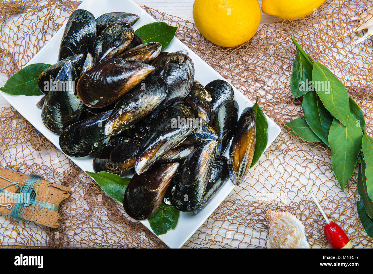 Fresh and alive mussels for cooking cleaned and ready to be steamed ...