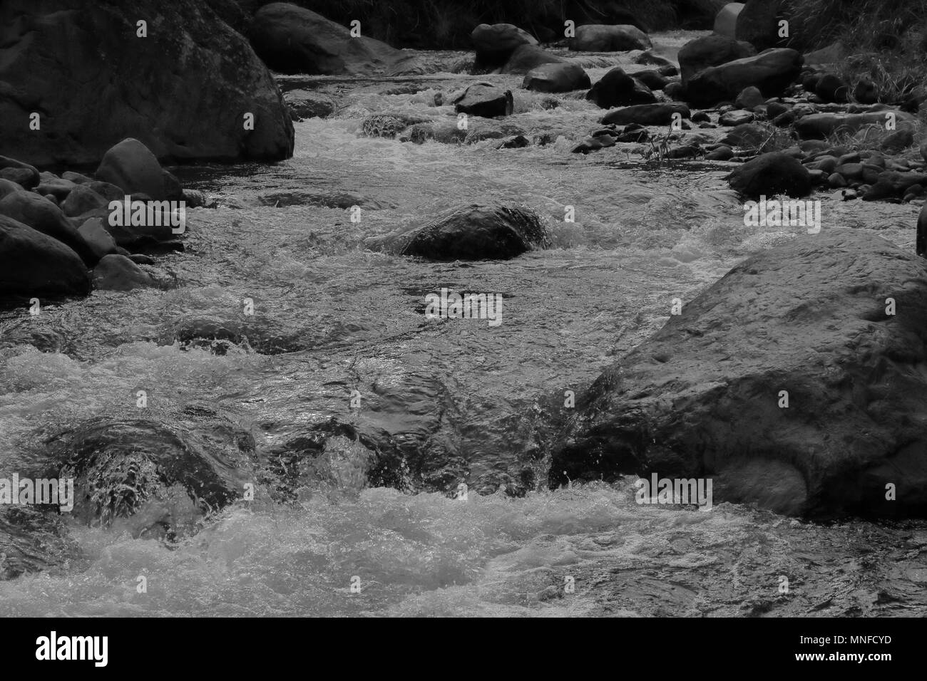 Black and White Rapids River Stock Photo - Alamy