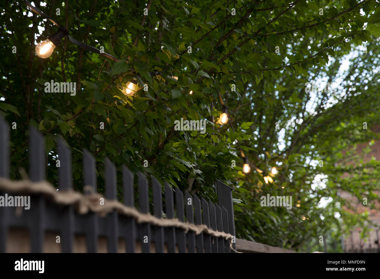 hanging outdoor light in an italian garden at sunset Stock Photo - Alamy