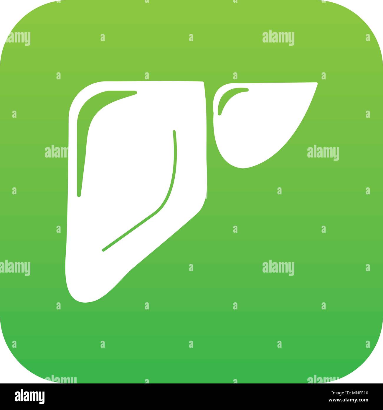 Liver icon green vector Stock Vector Image & Art - Alamy