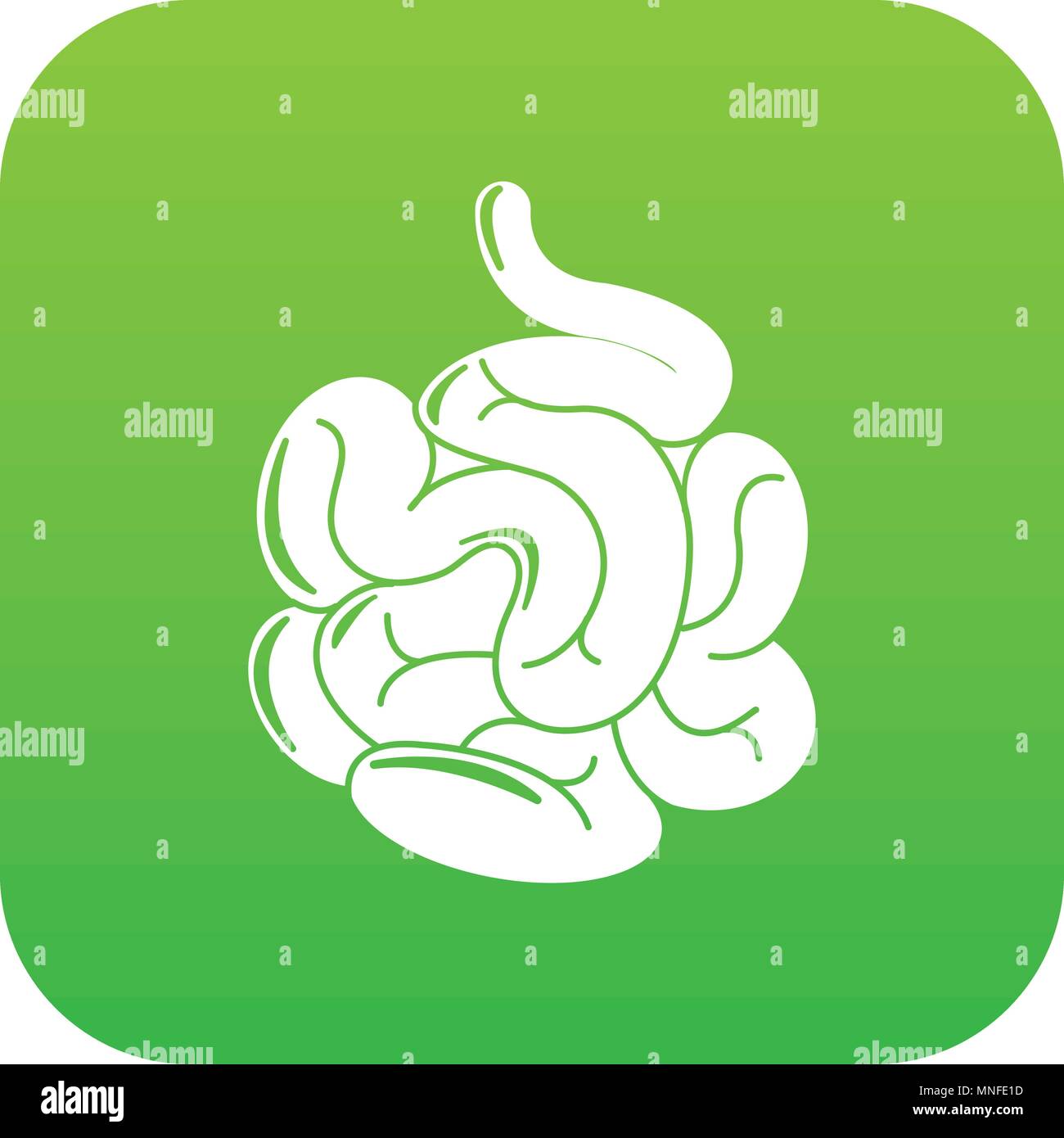 Small intestine icon green vector Stock Vector Image & Art - Alamy