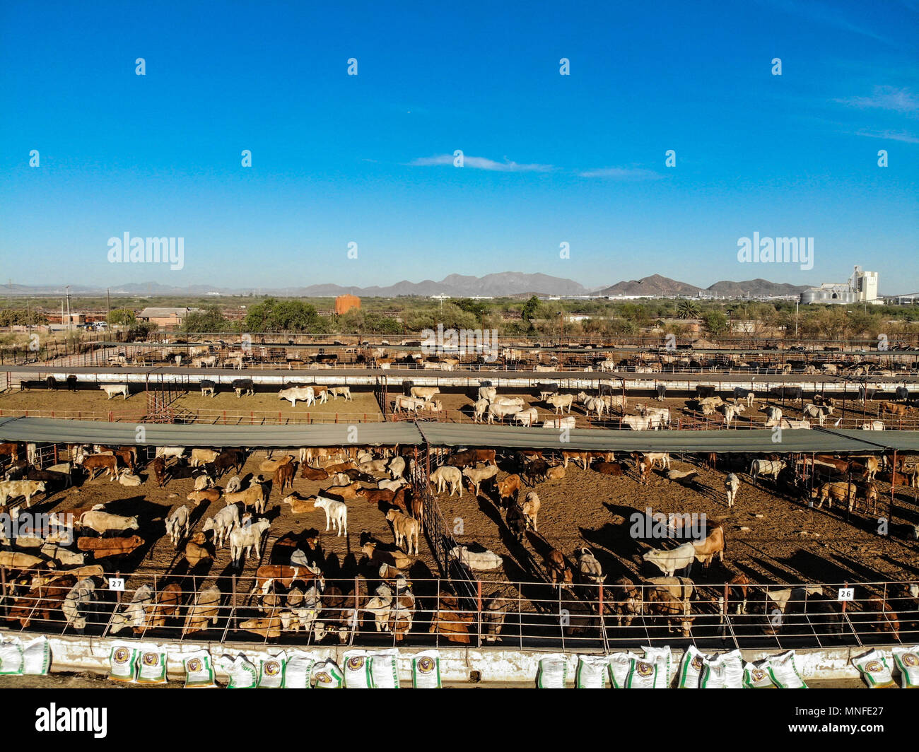 Aerial view of the Rodeo arena, rides and facilities and corrals of the ...
