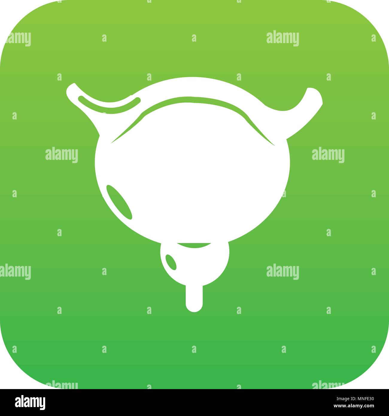 Human bladder icon green vector Stock Vector Image & Art - Alamy