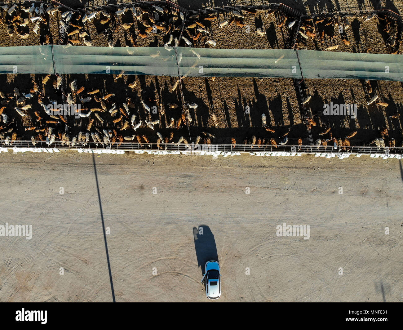 Aerial view of the Rodeo arena, rides and facilities and corrals of the ...