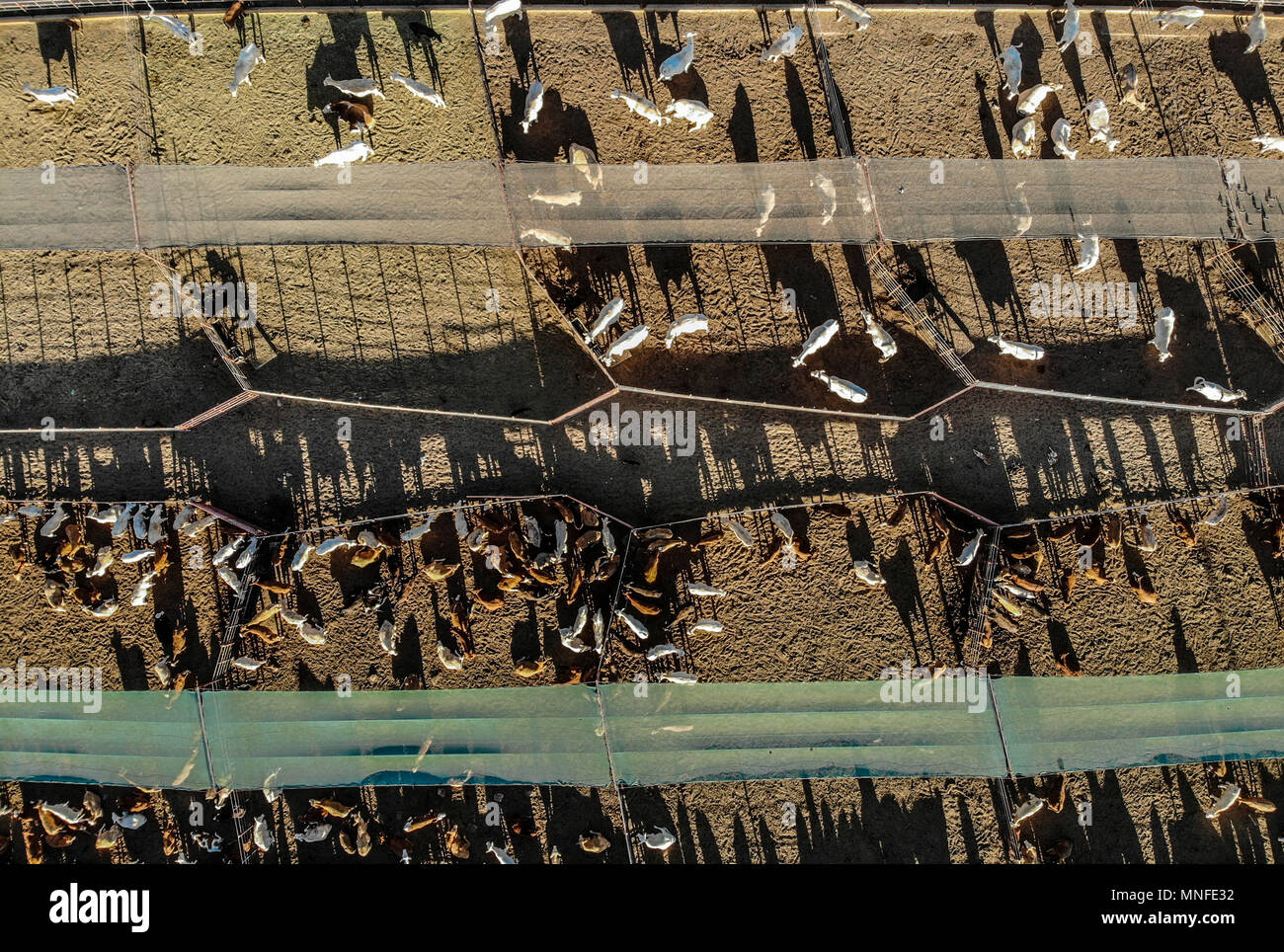 Aerial view of the Rodeo arena, rides and facilities and corrals of the ...