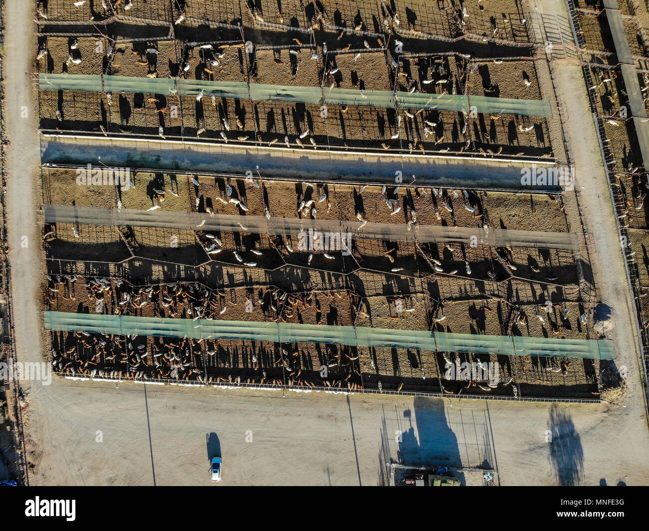 Aerial view of the Rodeo arena, rides and facilities and corrals of the ...