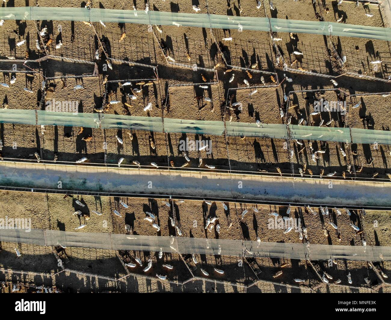 Aerial view of the Rodeo arena, rides and facilities and corrals of the ...
