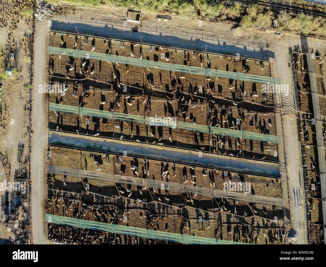 Aerial view of the Rodeo arena, rides and facilities and corrals of the ...