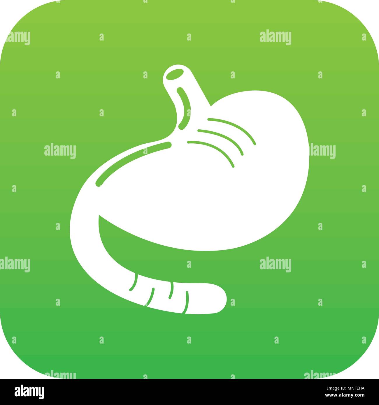 Stomach icon green vector Stock Vector Image & Art - Alamy