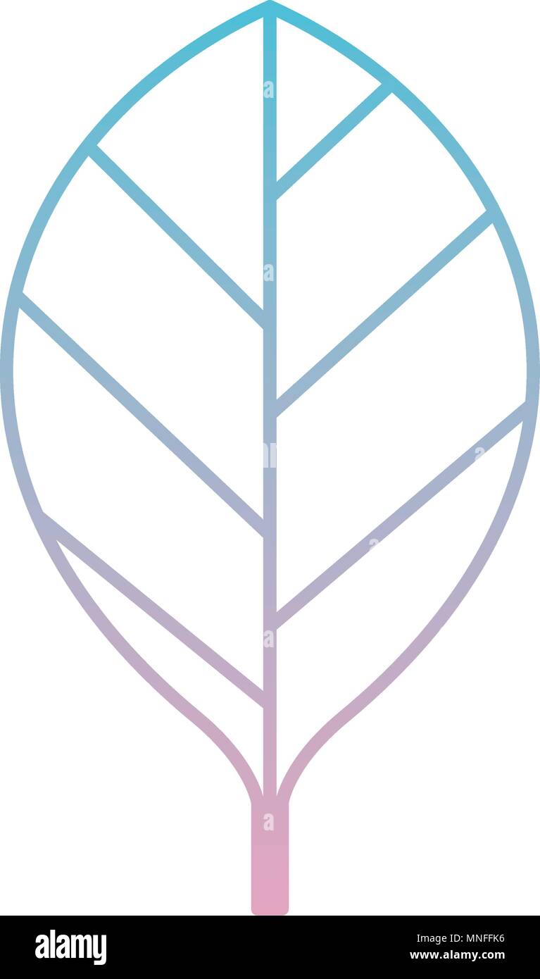 leaf single decorative icon Stock Vector Image & Art - Alamy