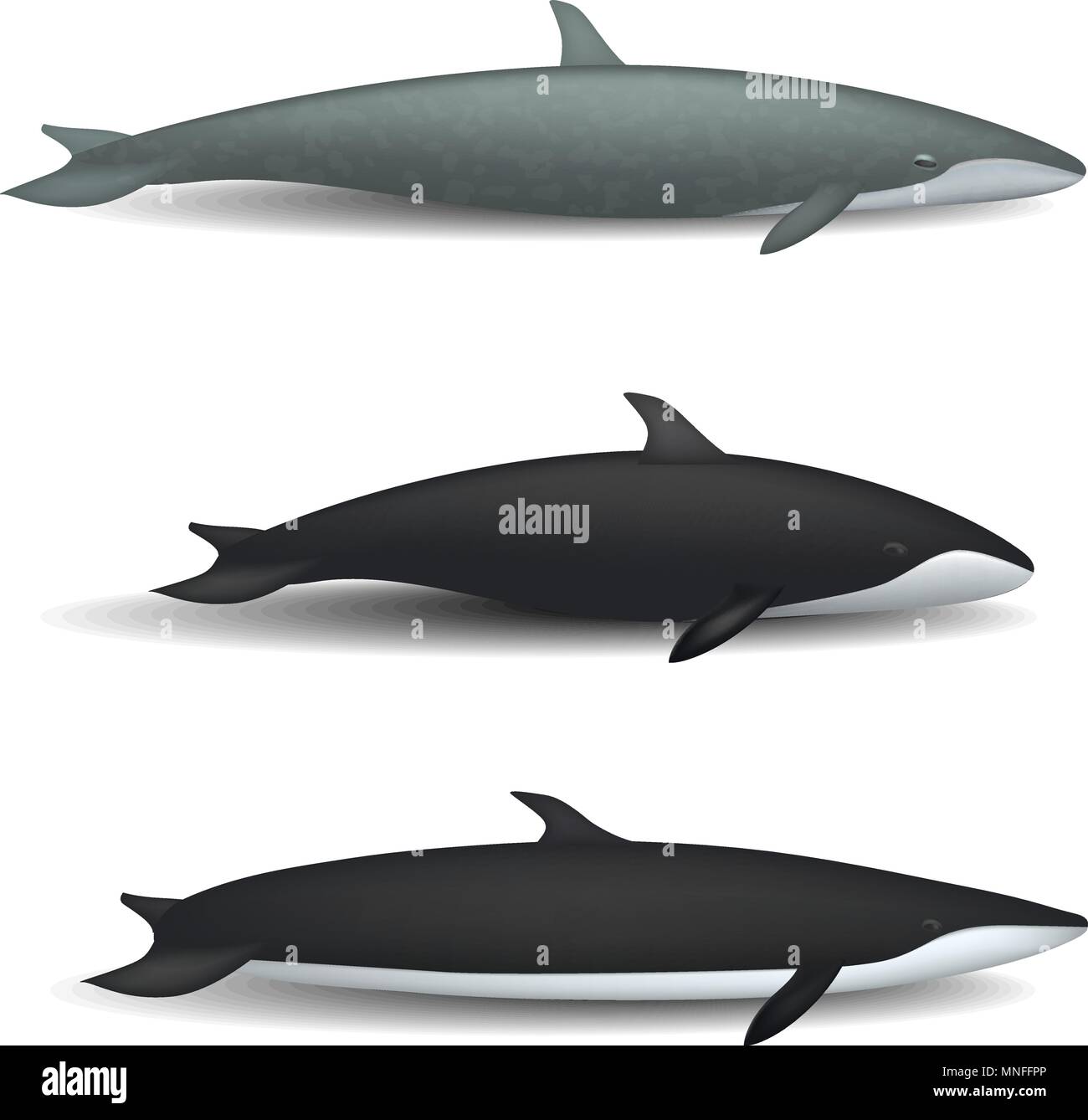 Whale blue tale fish mockup set, realistic style Stock Vector Image ...