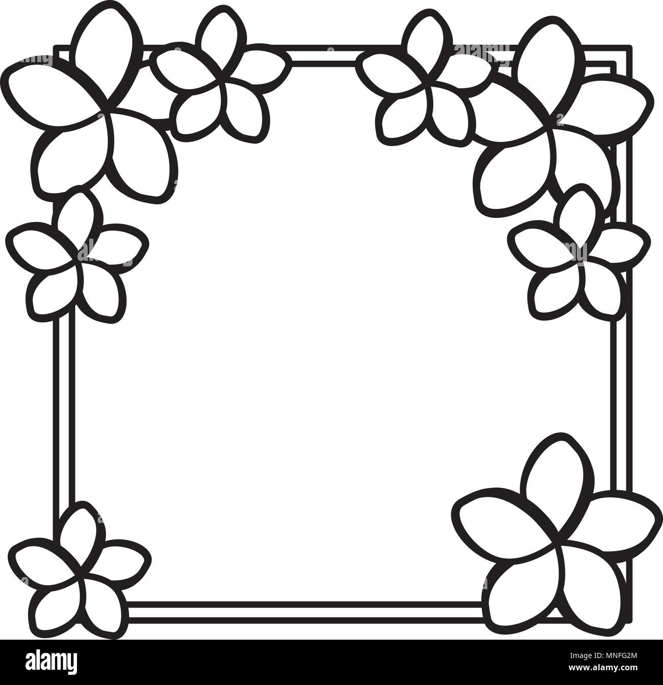 beautiful flowers decorative square frame Stock Vector Image & Art - Alamy