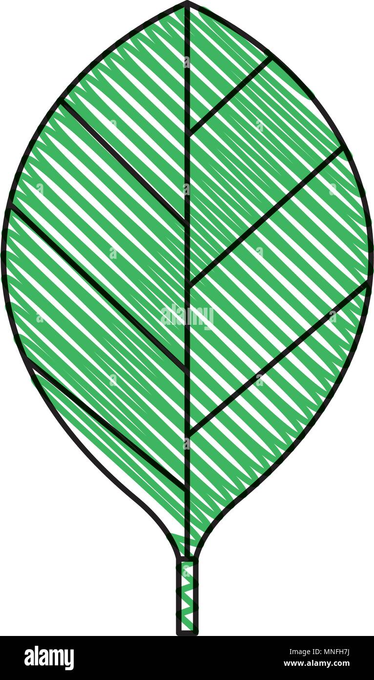 leaf single decorative icon Stock Vector Image & Art - Alamy