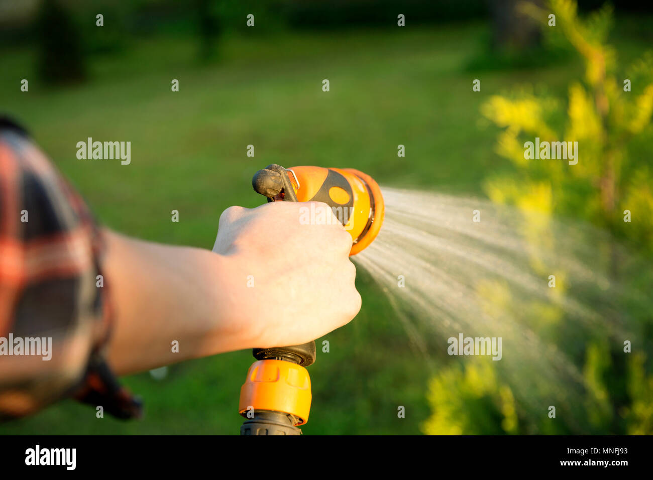 Hand watering plants tree hi-res stock photography and images - Alamy
