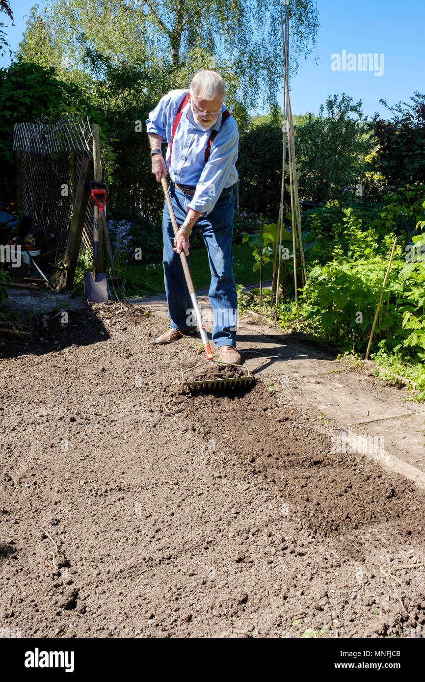 Man raking hi-res stock photography and images - Alamy