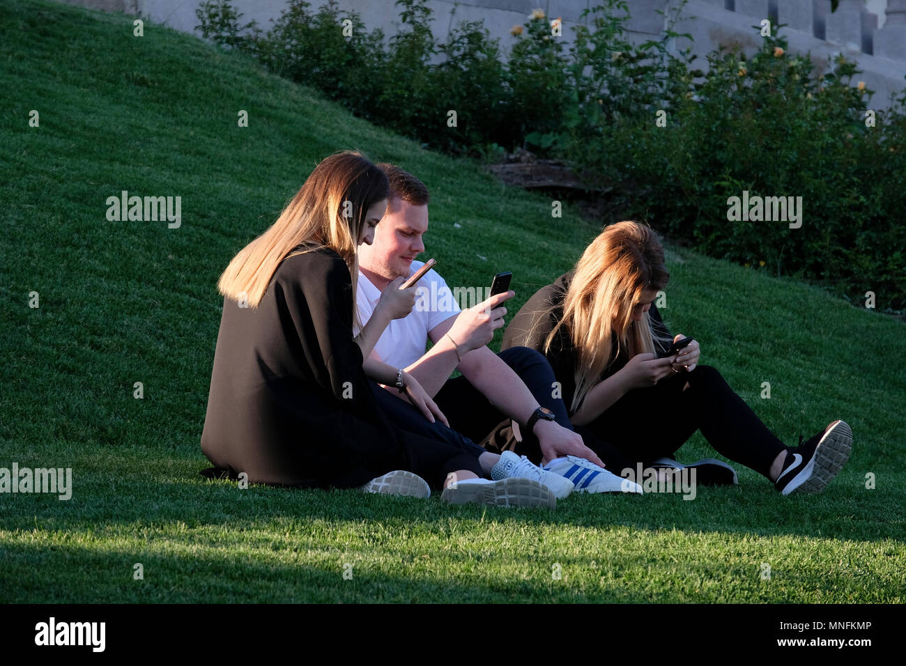 Young adults using their smartphones individually in the park in the ...