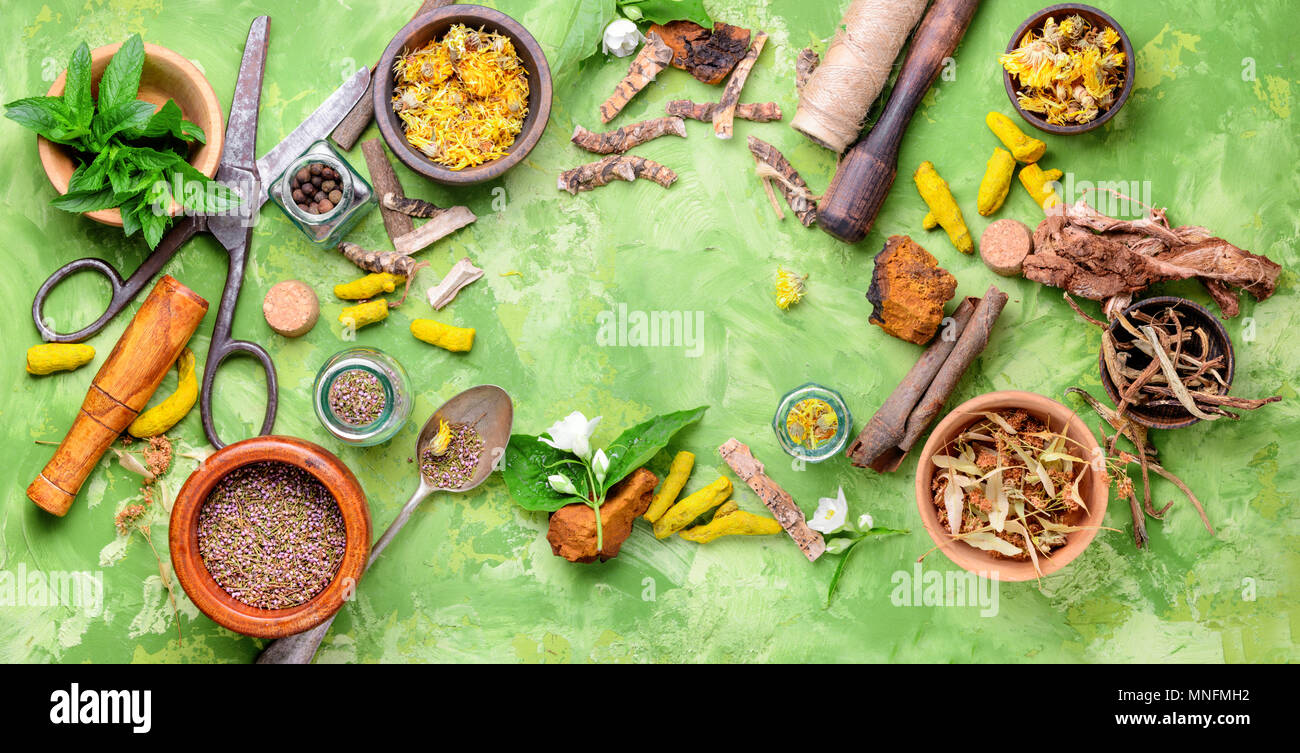 Natural herbal medicine,medicinal herbs and herbal medicinal root ...