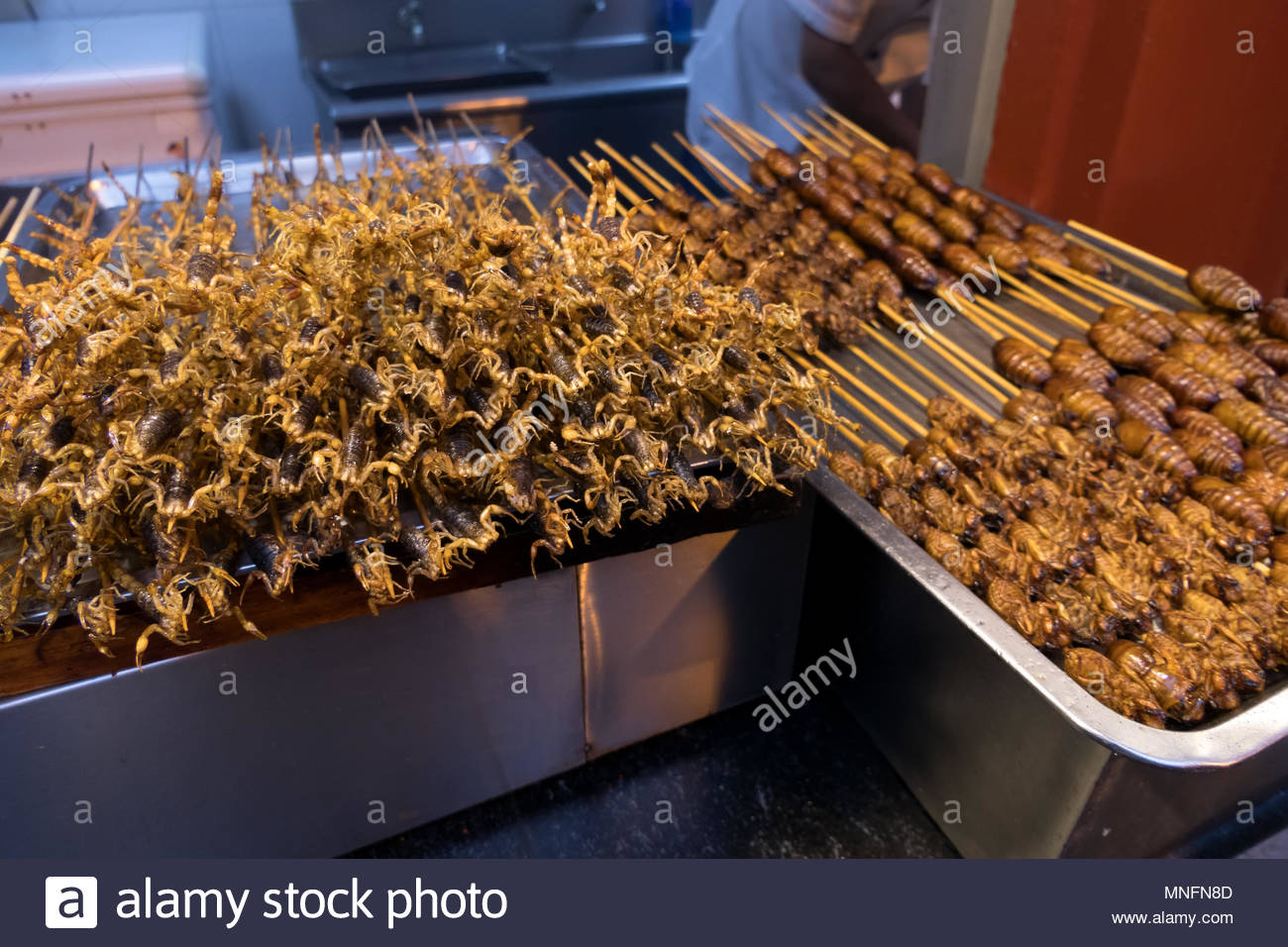 Larvae Food High Resolution Stock Photography and Images - Alamy