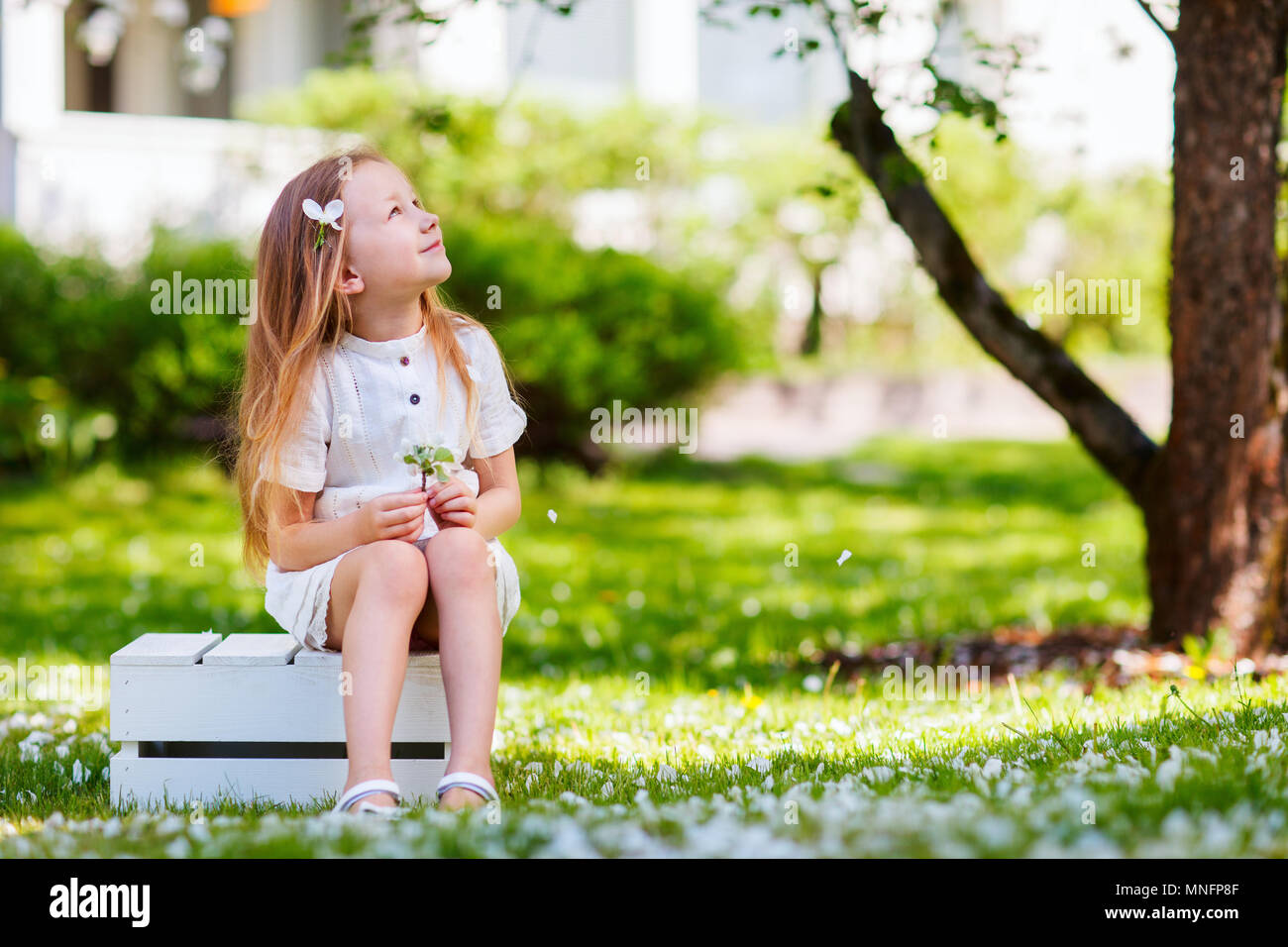 Adorable little girl in in blooming apple tree garden on spring day Stock Photo - Alamy